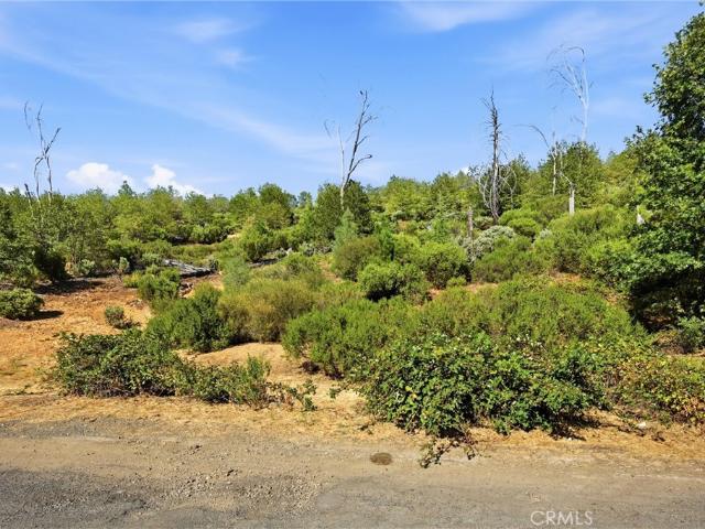 15250 Evergreen
