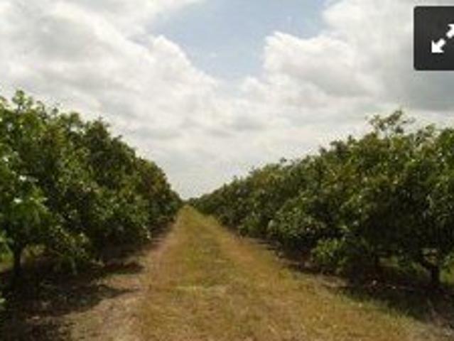 15255 th St, Fellsmere, FL 32948