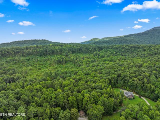 1525 Cove Lane