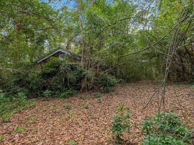 1526 Live Oak Dr, Tallahassee, FL 32301