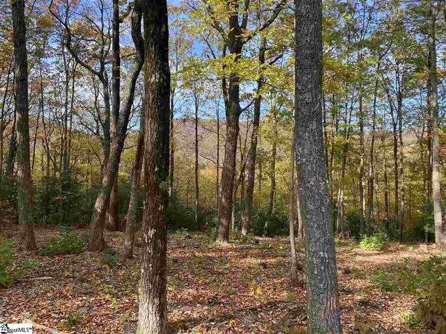 1526 Panther Park Trl, Travelers Rest, SC 29690