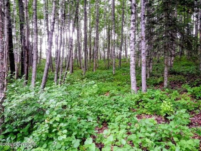 15274 W 4th St, Wasilla, AK 99623