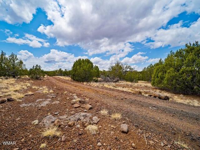 1528 Falcon Rd, Show Low, AZ 85901