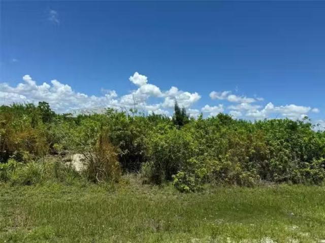 15293 TAURUS CIR, PORT CHARLOTTE, FL 33981 Vacant Land For Sal.