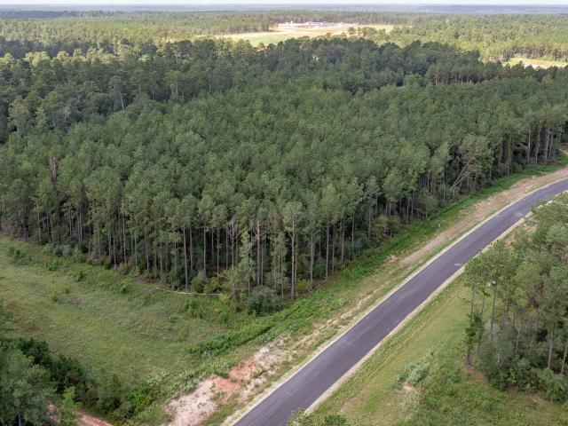 15291 Frst Grv Dr, Willis, TX 77378 | MLS #38689 | Compass