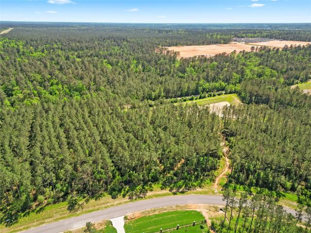 15297 Frst Grv Dr, Willis, TX 77378 | MLS #4792