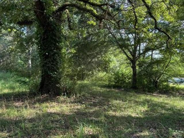 1529 Cheatham Rd, Carbon Hill, AL 35549