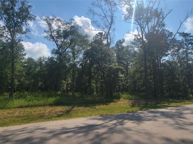 1520 County Road 632, Dayton, TX 77535 | MLS #28709 | Compass