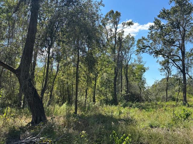 1520 FM 160 Road N