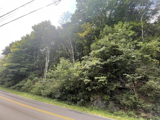 1520 Pioneer Rd