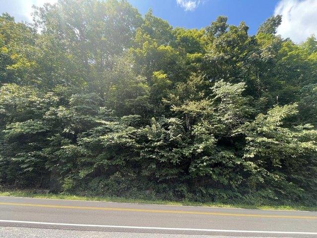 1520 Pioneer Rd, Lebanon, VA 24266