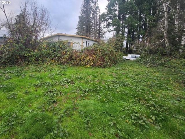 15215 Woodburn Monitor Rd NE, Mtangel, OR 97362