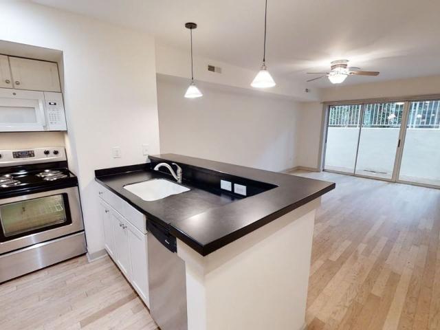 1521 Virginia Avenue 4 Bedroom Apartment for Rent at 1521 Virginia Ave, Charlottesville, VA 22903 Venable