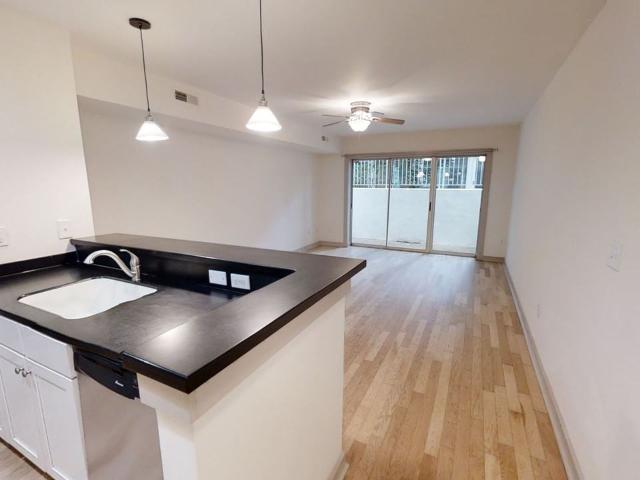 1521 Virginia Avenue 4 Bedroom Apartment for Rent at 1521 Virginia Ave, Charlottesville, VA 22903 Venable