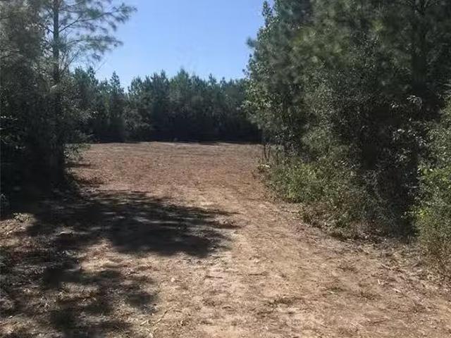 15227 RUBICON RD, WILLIS, TX 77378 Vacant Land For Sale MLS#.