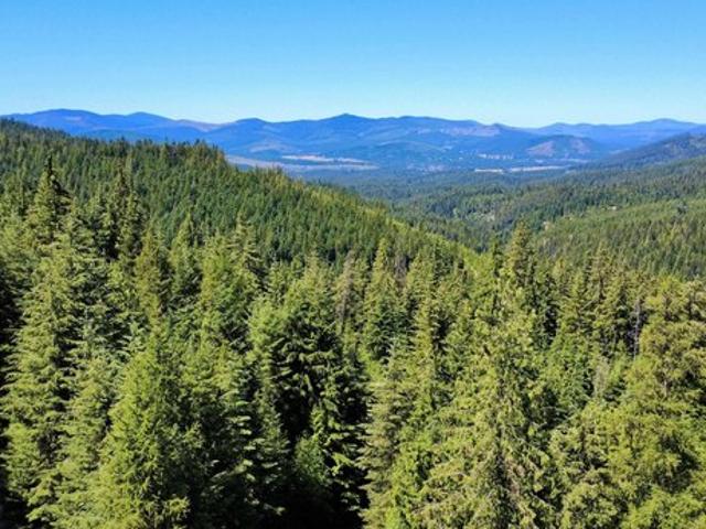 1522 Alpine Dr, Fernwood, ID 83830