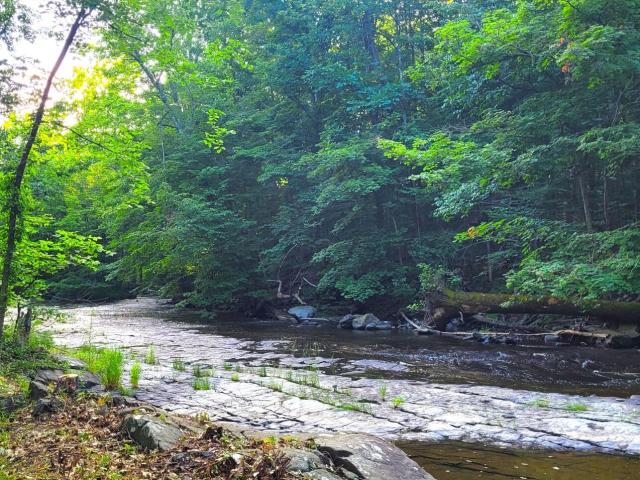 1522 Red Mill Road