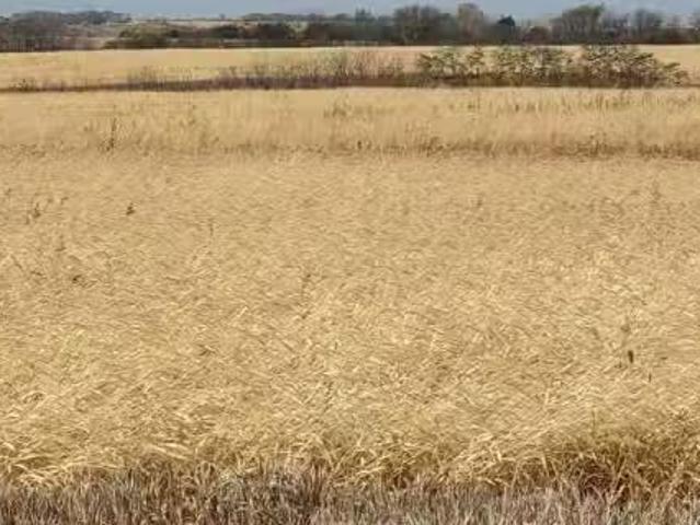 152 290TH AVE, ELLSTON, IA 50074 Farm For Sale MLS# 6322783