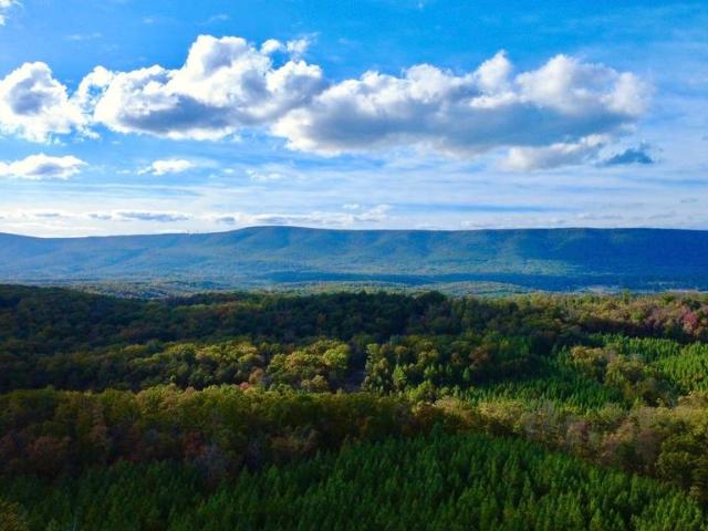 152.44 Acres Lot 2 Laurel Grove Road