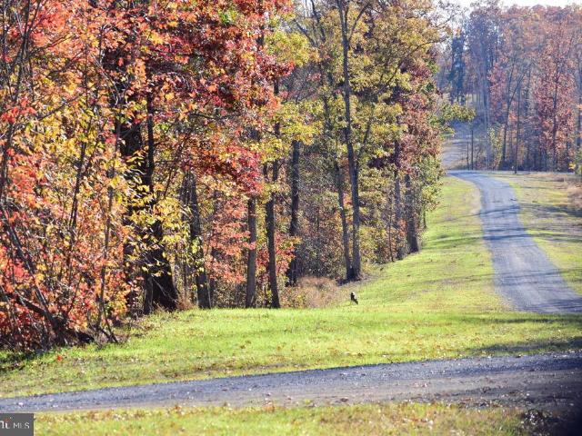 152.44 Acres Laurel Grove Road, Lot 2, Winchester, VA 22602 | MLS #VAFV2038