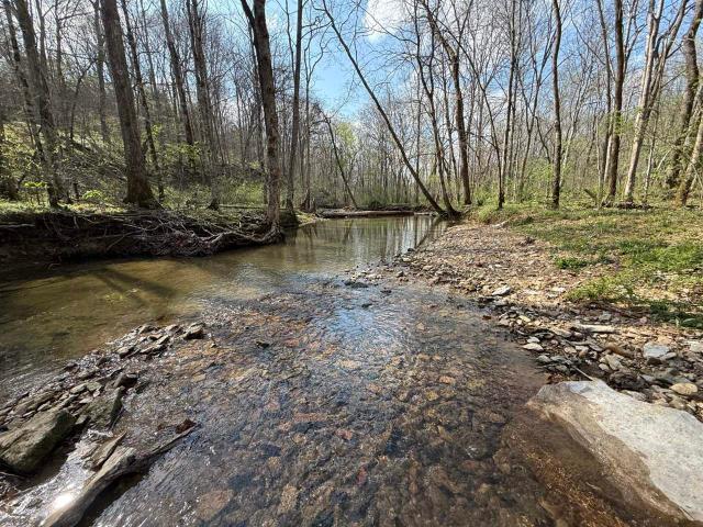 152.678 Acres A R Oliver Road
