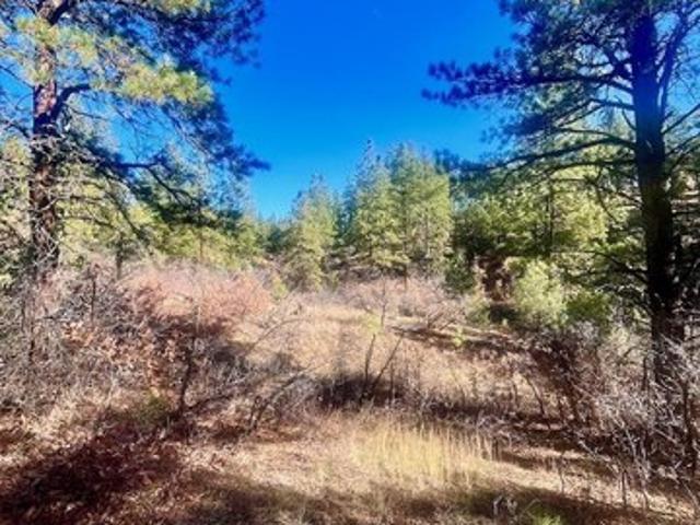 152 Lane Dr, Durango, CO 81303
