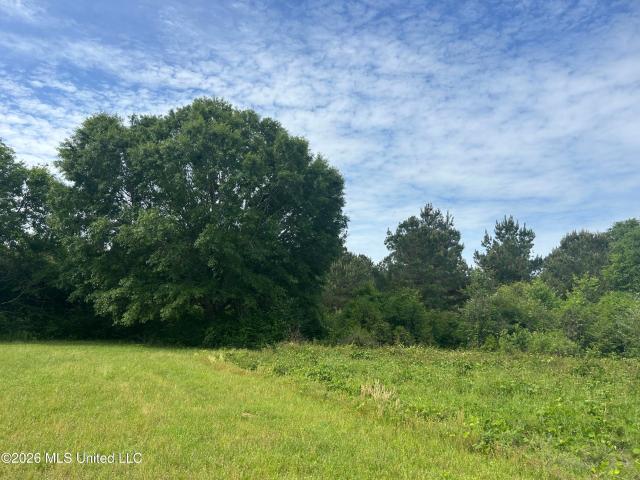 152 New Hope Kokomo Rd, Foxworth, MS 39483 | MLS #4142 | Compass
