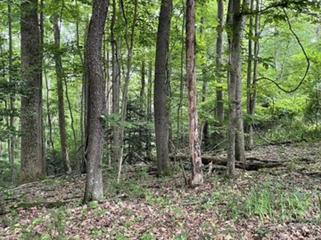 152 Second Ave, Fayetteville, WV 25840