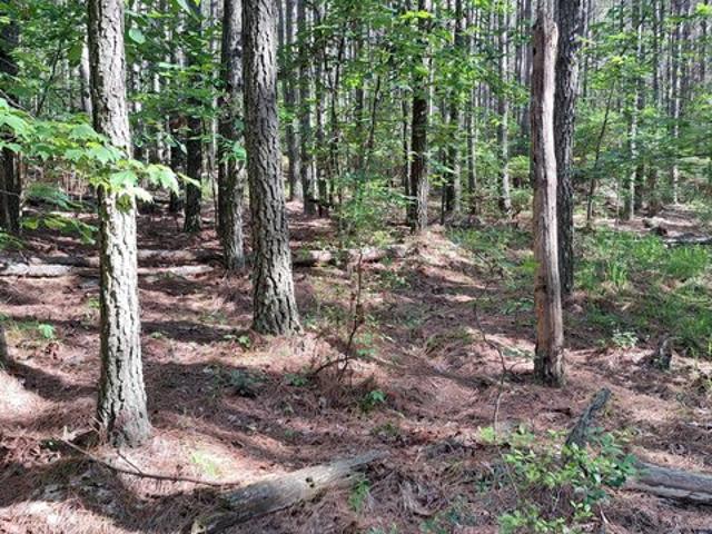 152 Sunset View Ln, Rockwood, TN 37854