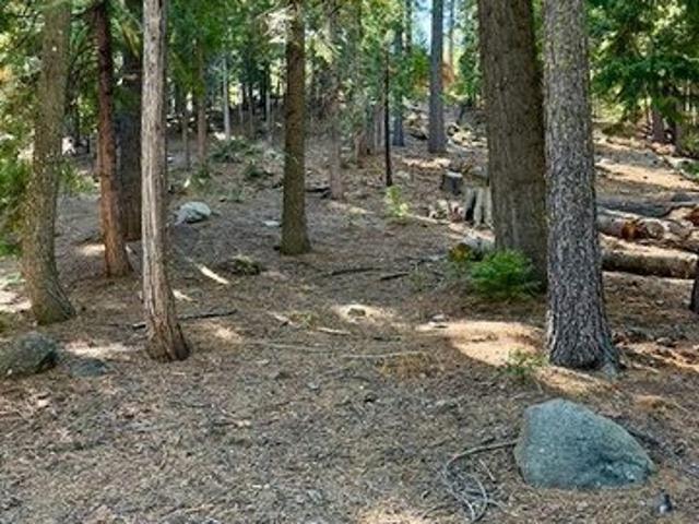 1534 Sierra Pkwy, Dorrington, CA 95223