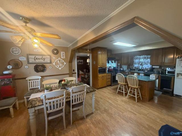 1536 Bellevue Drive