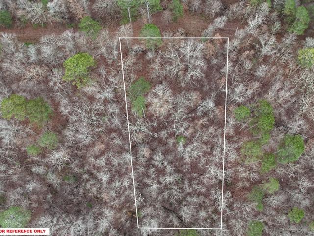 1536 Cherokee Ridge Trail