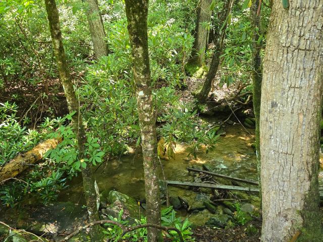 1536 Creek Road