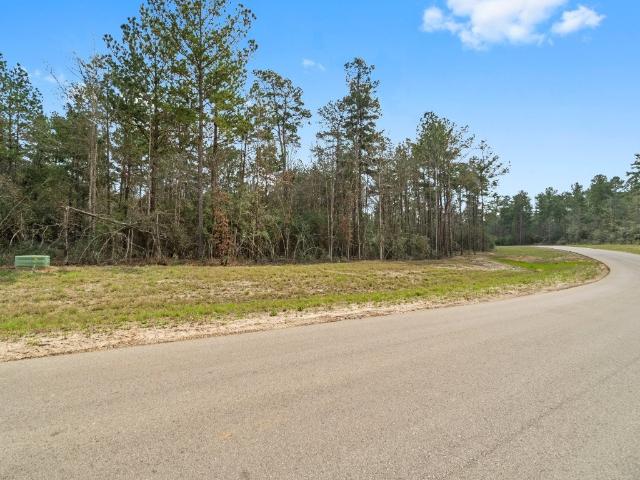 15370 Red Hawk Rd, Willis, TX 77378 | MLS #50806 | Compass