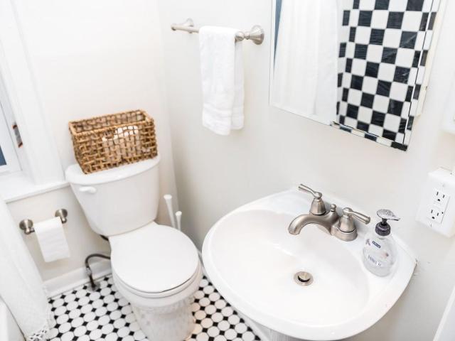 1537 N Pearl St Studio Apartment for Rent at 1537 N Pearl St, Denver, CO 80203 Uptown
