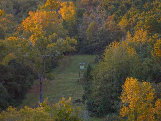 15383 County Road 236