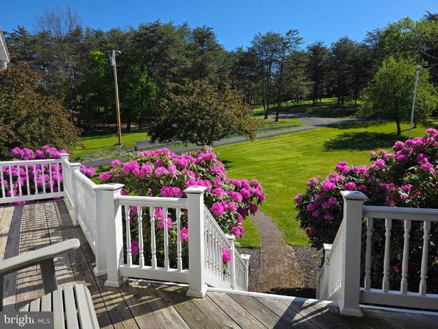 1538 Chess Club Road
