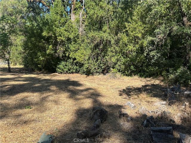 15394 Mckell