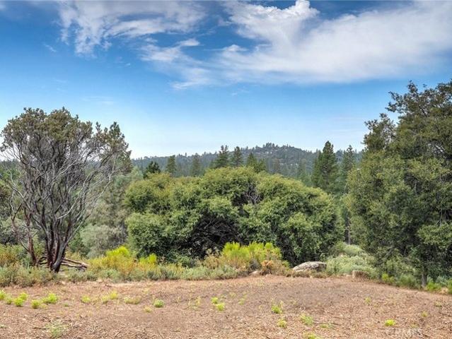 1539 Vista Lago, Mariposa, CA 95338