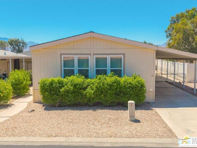 15300 Palm Drive 14