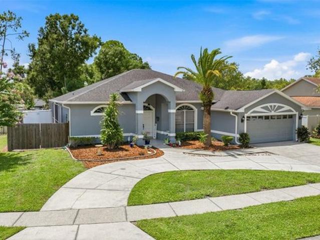 15306 Carrollton Ln, Tampa, FL 33624