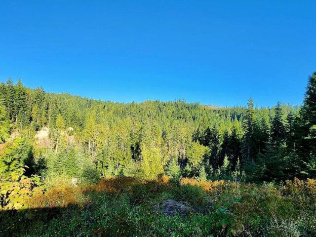 1530 Dusty Ln, St. Maries, ID 83861 | MLS #26 987 | Compass