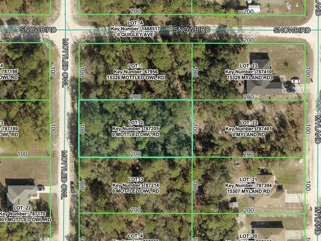 15316 Mottled Owl Rd, Brooksville, FL 34614