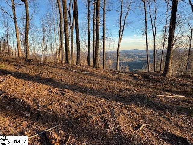 1531 Panther Park Trail