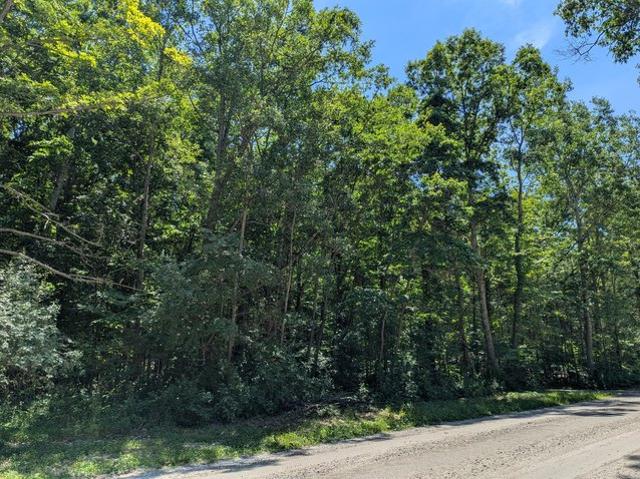 15320 Larsen Ave NE, Gowen, MI 49326
