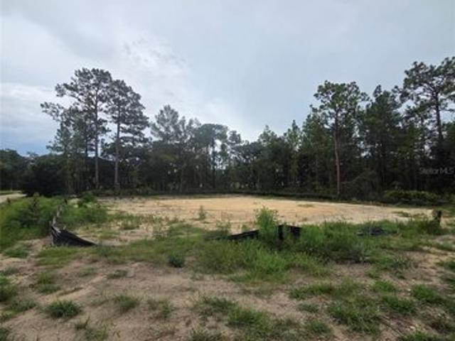 15326 Mottled Owl Rd, Weeki Wachee, FL 34614