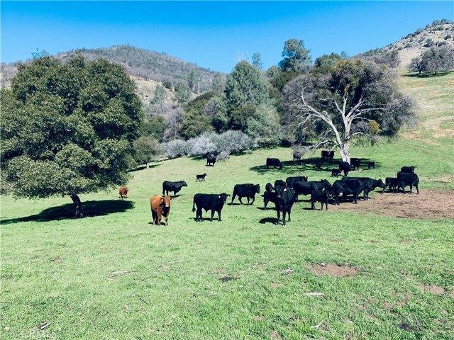 1532 ACRES Cya Rd, Mariposa, CA 95338