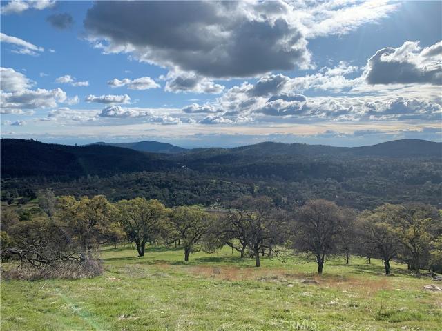 1532 Acres CYA Road