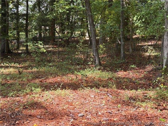 1532 Delaware Pl, Sanford, NC 27332