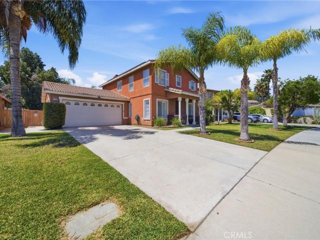 15335 Caballo